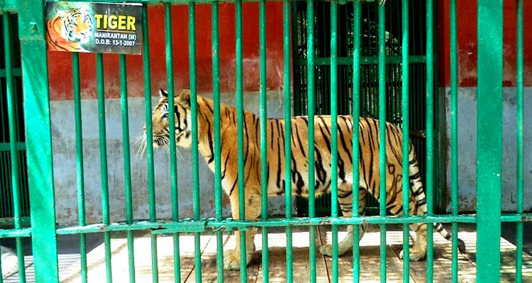 Thiruvananthapuram Zoo (Timings, History, Entry Fee, Images ...