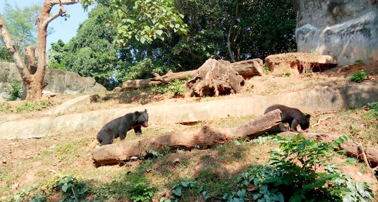 Thiruvananthapuram Zoo (Timings, History, Entry Fee, Images ...